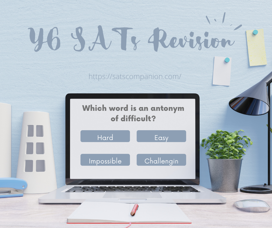 Year 6 - Roby Park Primary